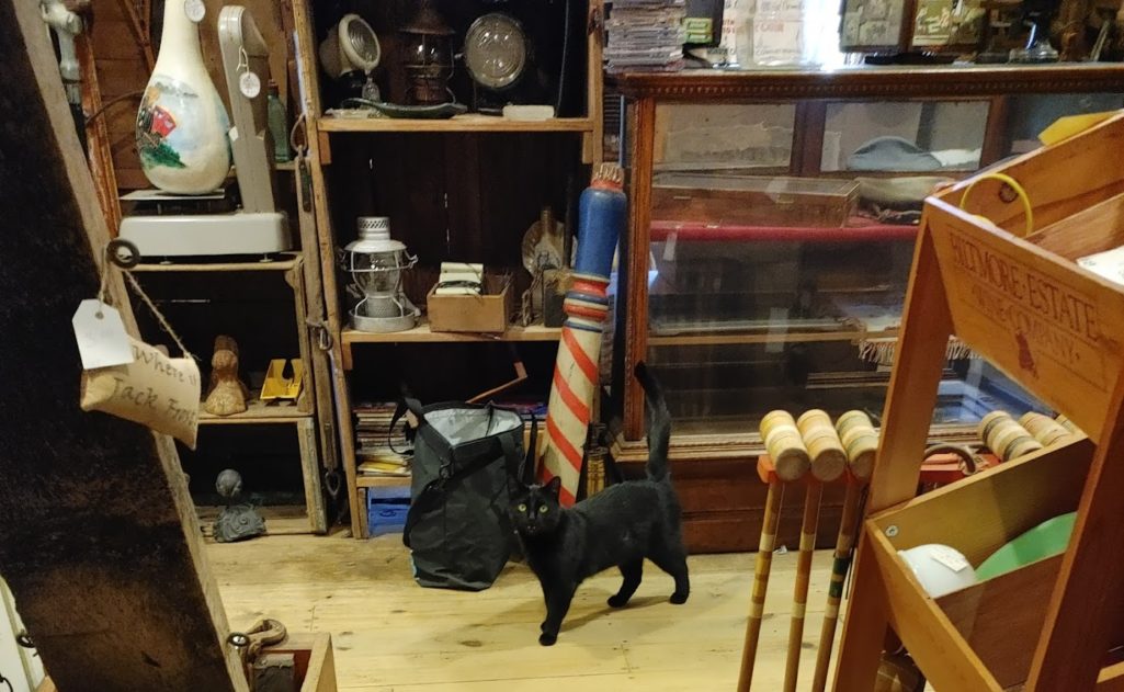 The Savvy Picker: Crazy Mule Arts and Antiques - Now Habersham