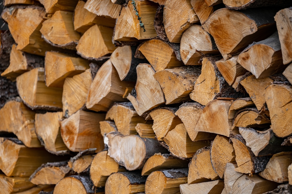 Forest firewood permits now available online - Now Habersham