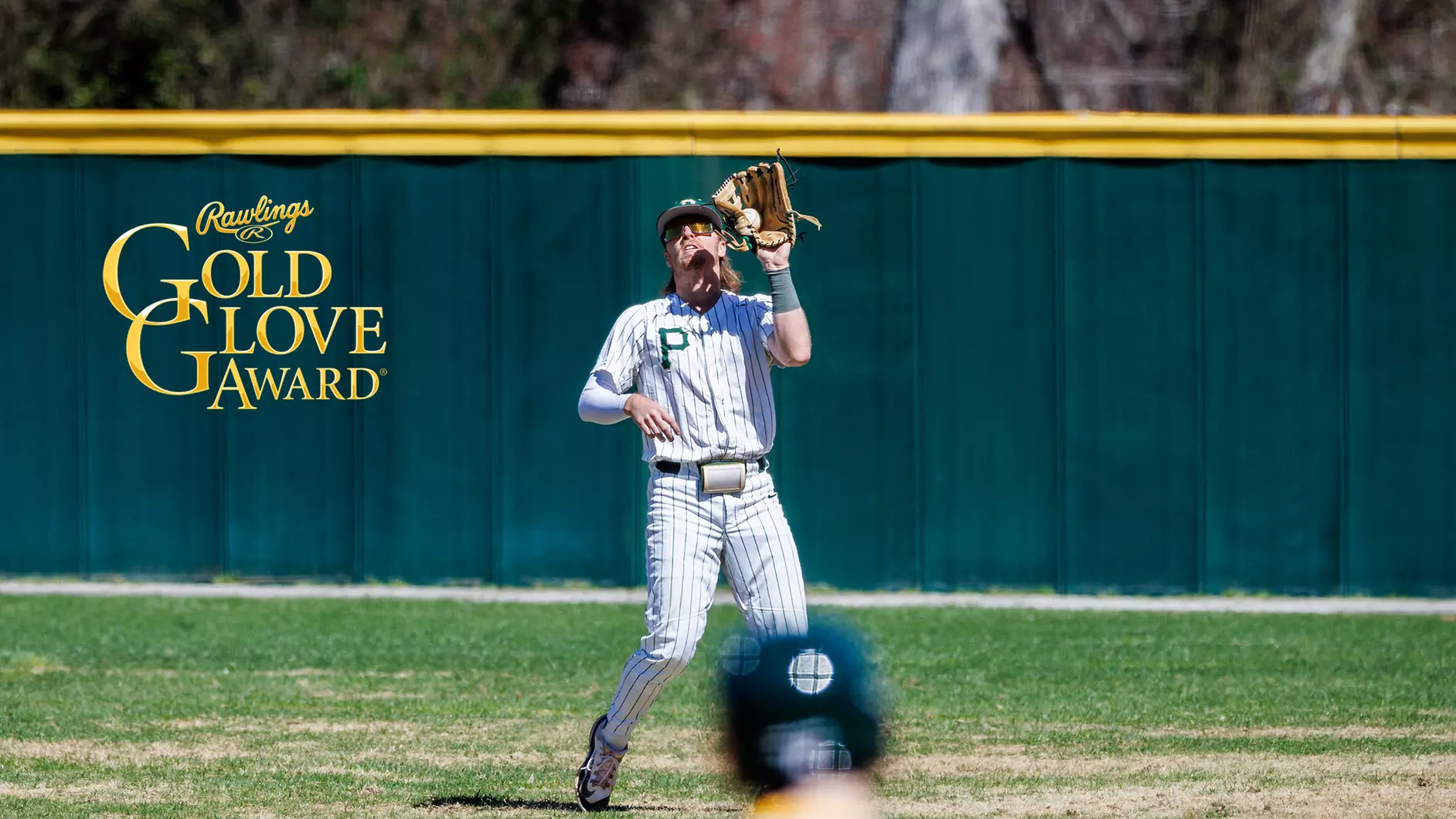 Trace Cate Earns 2024 NCAA Division III ABCA/Rawlings Gold Glove - Now ...