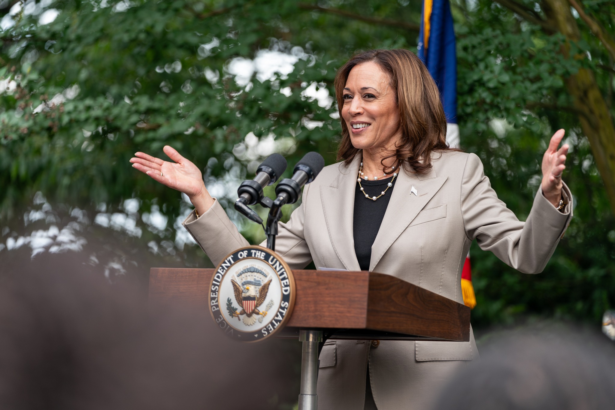 Georgia's Democratic delegates coalesce behind Harris after Biden drops ...