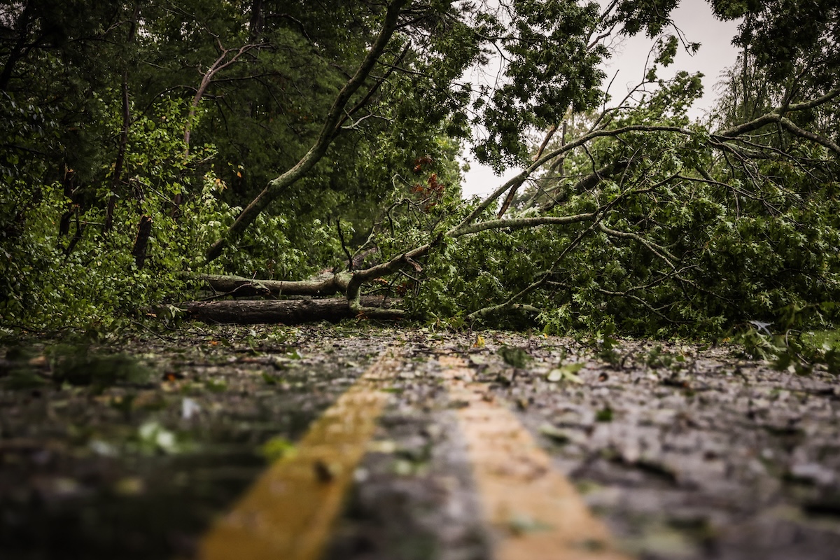 Rabun County opening storm debris drop-off site Oct. 7 - Now Habersham