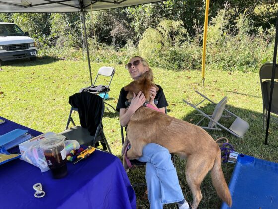SRWA hosts inaugural Soque Greenway Trail Festival - Now Habersham