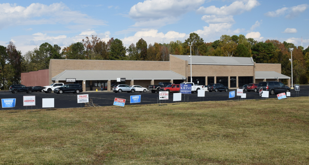 Georgia early voters continue to turn out in large numbers - Now Habersham