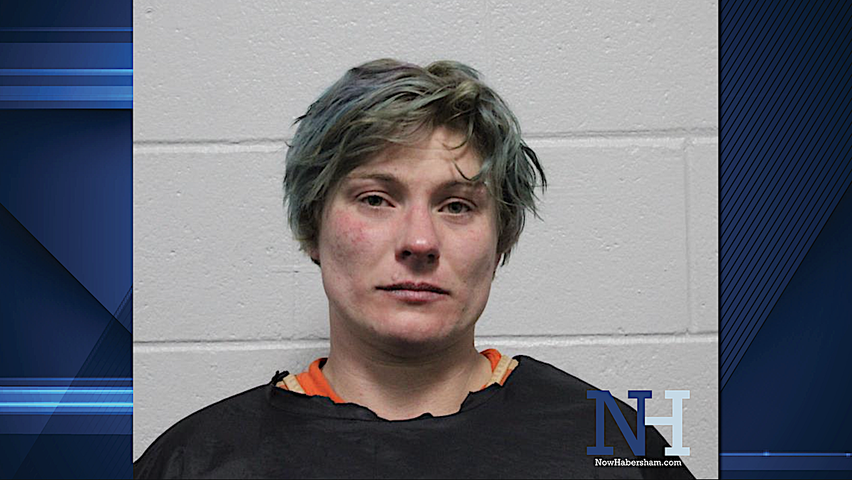 Clarkesville property owner charged with obstructing firefighters - Now ...