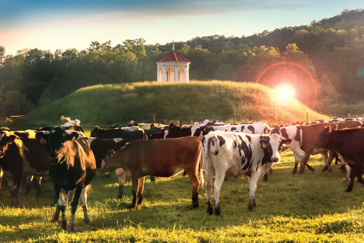 Hardman Farm's the Cows Come Home Celebration March 1 - Now Habersham