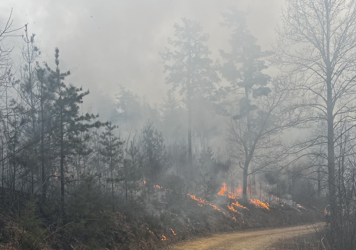 Air quality alert active for extreme Northeast Georgia, western ...