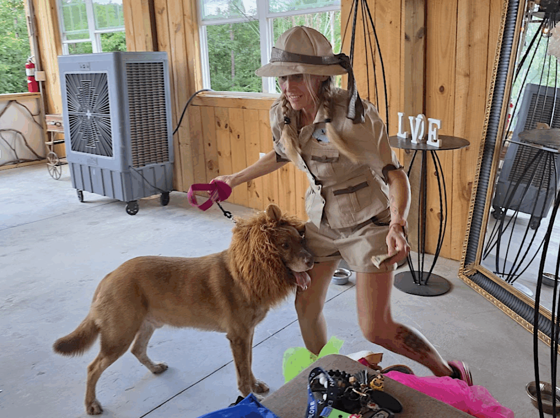 'Dogs of Summer' blends canine fun, fashion, and fundraising - Now ...